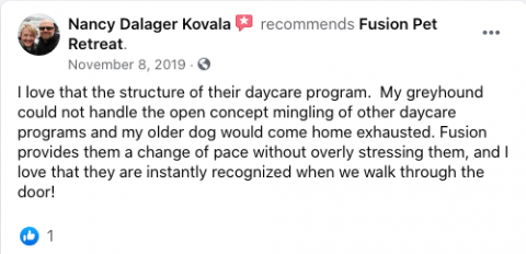 Dog Training at Fusion Pet Retreat in a beautiful indoor specialized ...